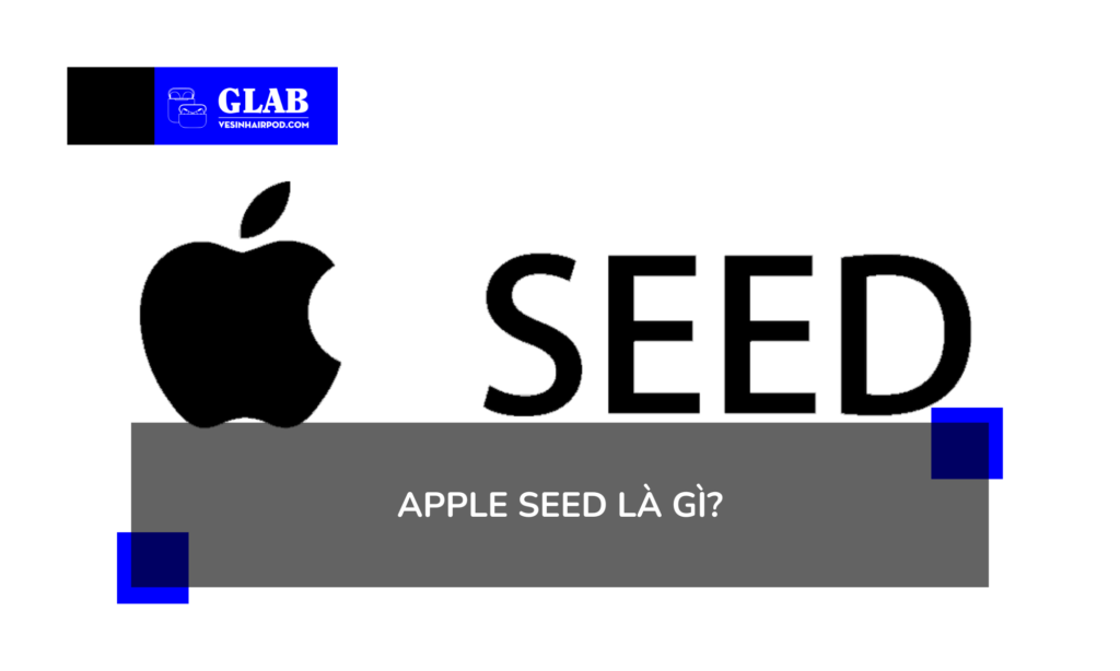 Apple SEED Là Gì? Cách Đăng Ký Ứng Dụng Apple SEED
