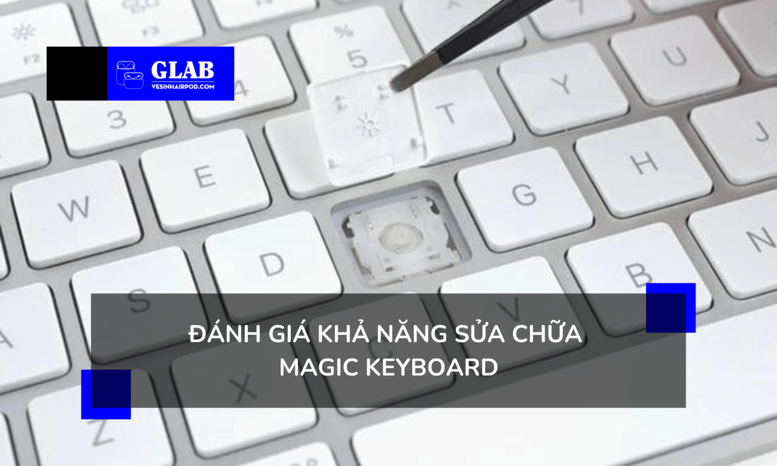 Tháo Rời Apple Magic Keyboard, Magic Mouse 2 và Magic Track 2 Cho Thấy ...