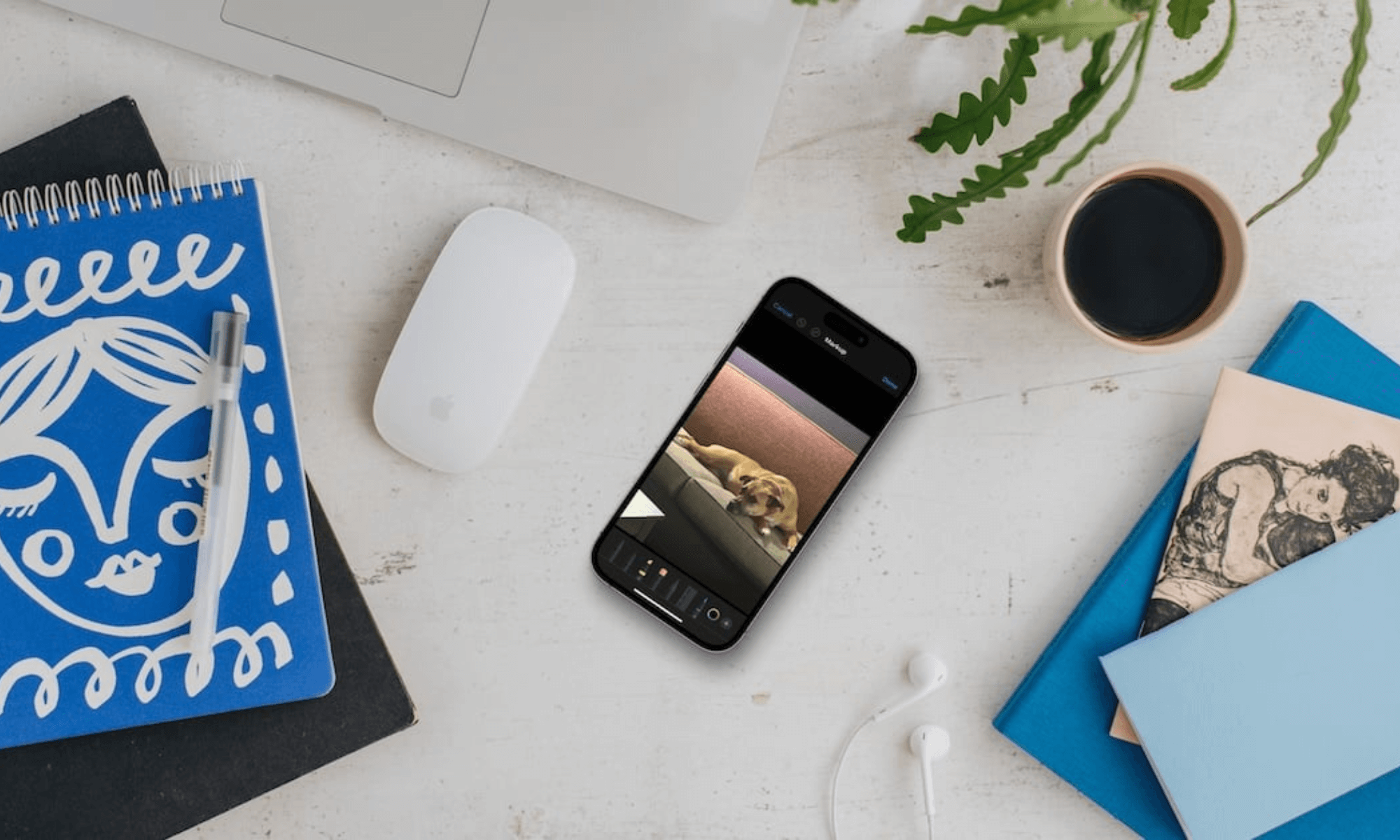 Markup Trên iPhone Là Gì Và Làm Thế Nào Để Sử Dụng Nó